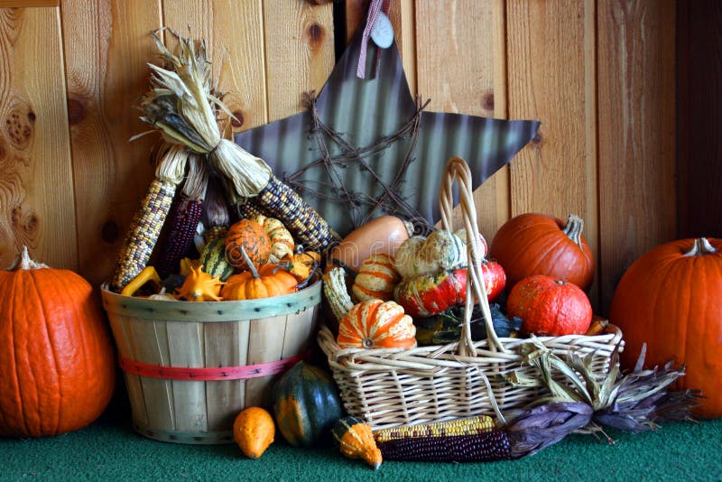 Herbst-Ernte stockbild. Bild von september, fallen, ernte - 13367579