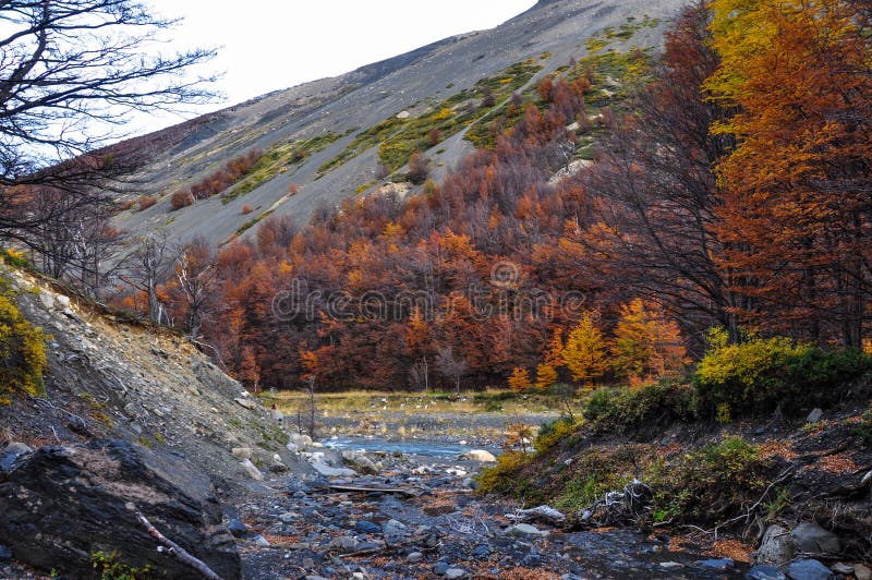 Herbst/Fall in Parque Nacional Torres Del Paine, Chile Stockbild - Bild ...