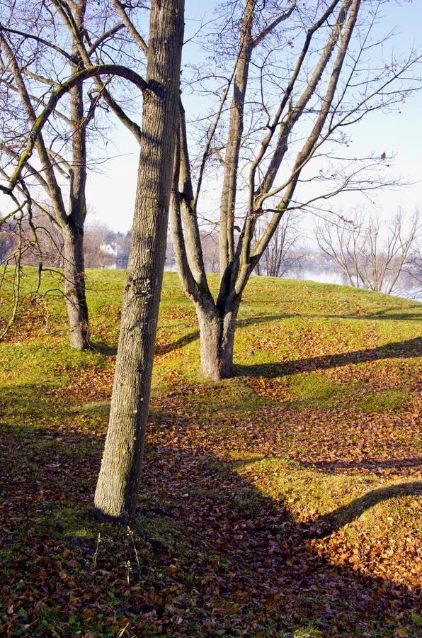 Herbstlandschaft Mit Baumschatten Stockfoto - Bild von horizont, nave ...