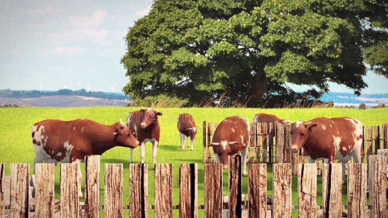Herd of Cows Farm Animals 3D Rendering Animation Stock Footage - Video ...