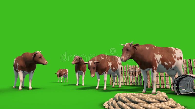 Herd of Cows Farm Fence Animals Down Green Screen 3D Rendering ...