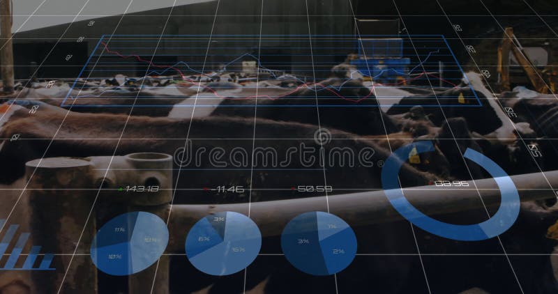 Three farm cows in a line stock photo. Image of dairy - 3307854