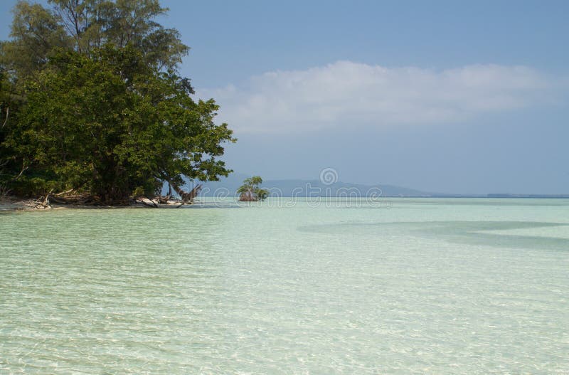 Herd of Fish Jumping on the Water Surface Stock Image - Image of island ...