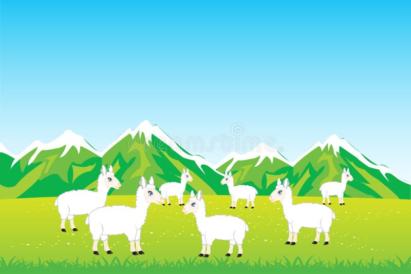 Herd sheep in field stock vector. Illustration of landscape - 49258296