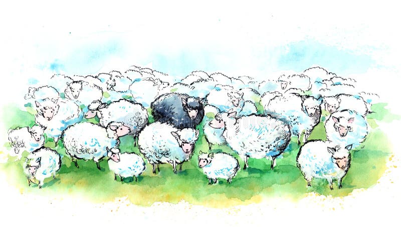 Herd Of Sheep Drawing