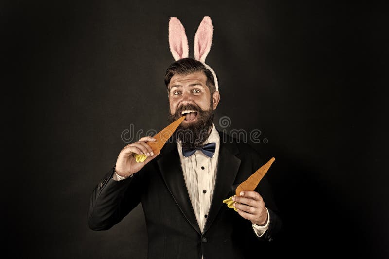 Here Comes Easter Bunny. Bearded Man with Bunny Ears Eat Carrots. Bunny ...