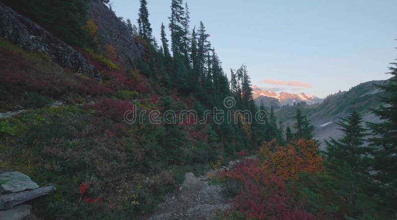 Very Beautiful Area in the Forest. Stock Image - Image of paradise ...