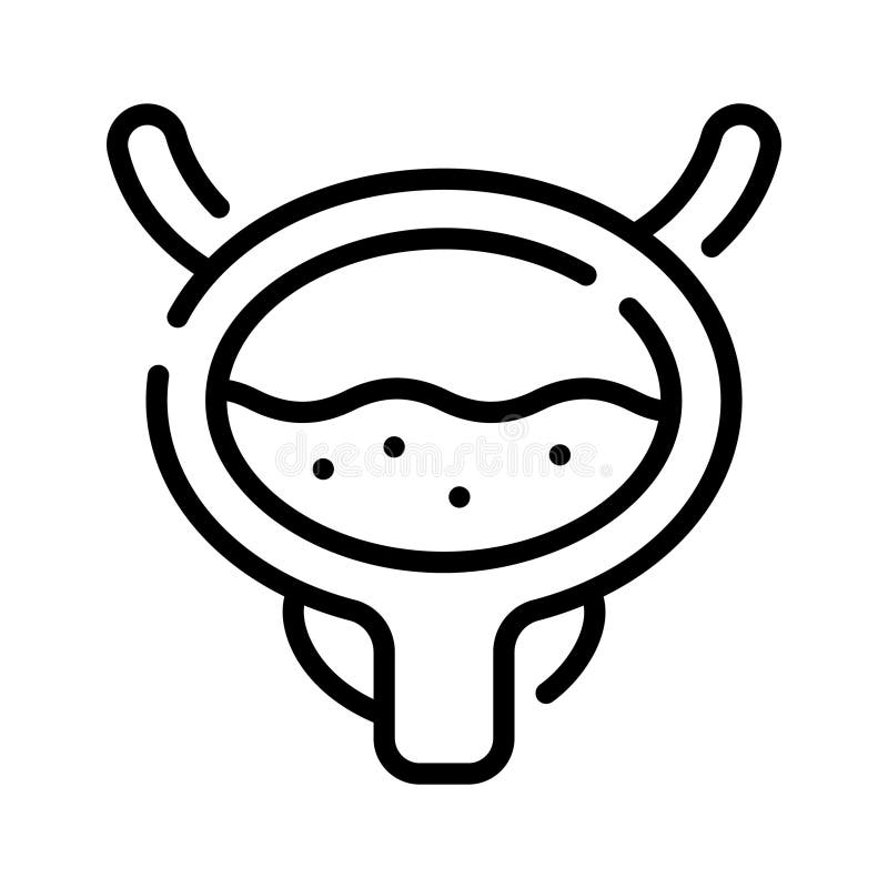 Here is a Latest Line Style Icon Showing Human Bladder Stock Vector ...