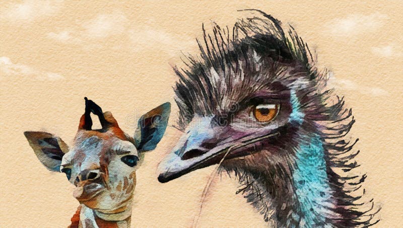 Watercolor Emu Stock Illustrations – 222 Watercolor Emu Stock ...