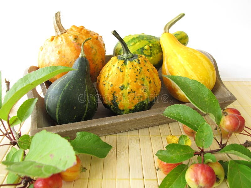 Herfstdecoratie Met Sierpompoenen Stock Afbeelding - Image of herfst ...