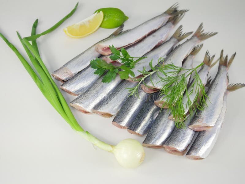 Heringe Der Frischen Fische Stockfoto - Bild von hacken, schnitt: 81766638