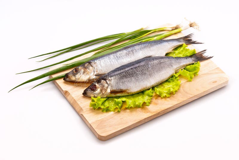 Heringe salzig stockfoto. Bild von ozean, gemüse, blätter - 25868282