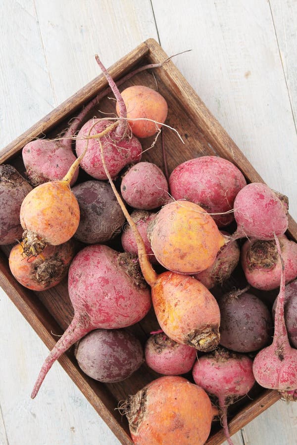 Heritage Beetroot Selection Stock Photos - Free & Royalty-Free Stock ...