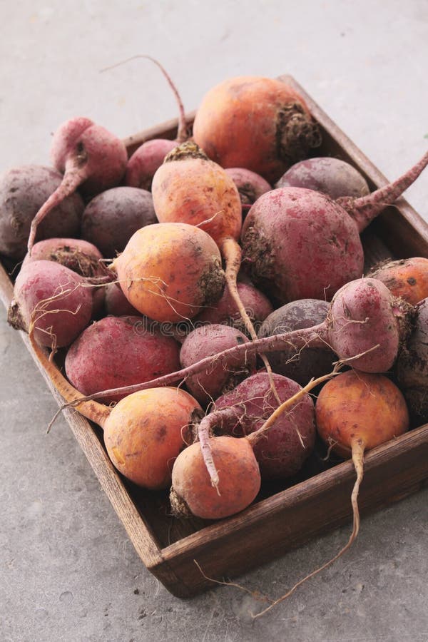 Heritage Beetroot Selection Stock Photos - Free & Royalty-Free Stock ...