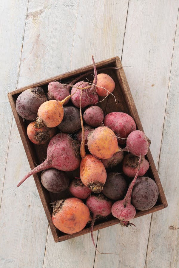 Heritage Beetroot Selection Stock Photos - Free & Royalty-Free Stock ...