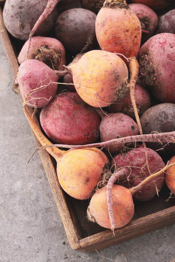 Heritage Beetroot Selection Stock Image - Image of healthy, tray: 61845553