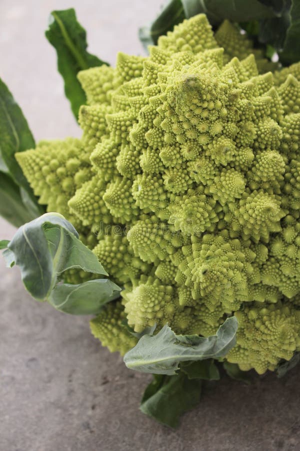 Romanesco Cauliflower, Purple Cauliflower, Yellow Cauliflower Stock ...