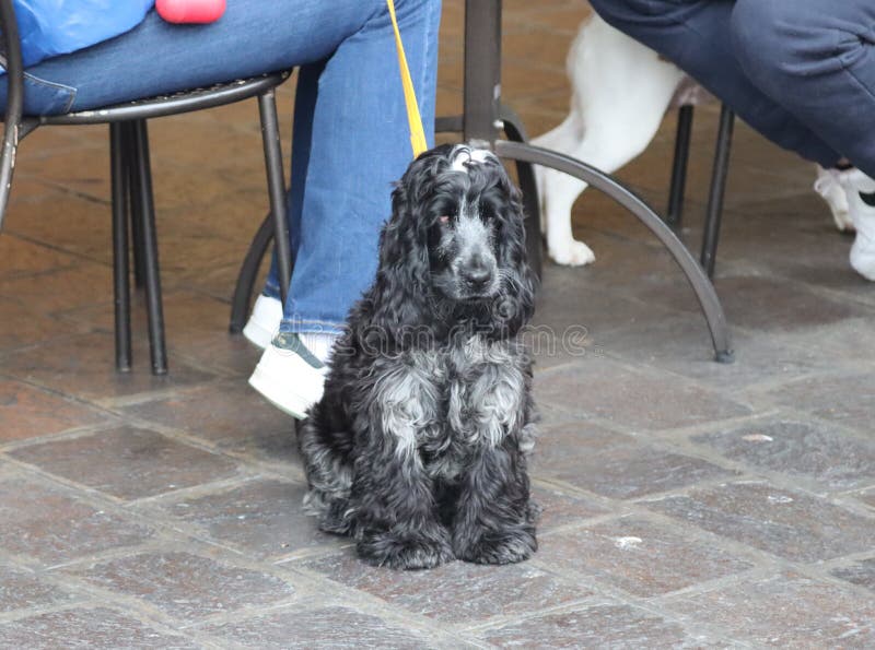 Hermes Cartoon Stock Photos - Free & Royalty-Free Stock Photos from ...