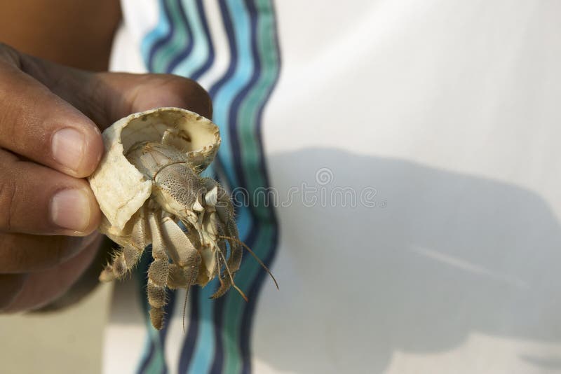 Sand with Hermit Crab Footprints Stock Photo - Image of shell, foot ...