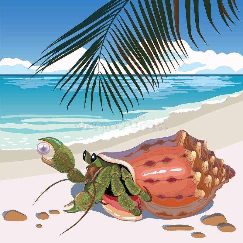 Hermit crab on the beach stock illustration. Illustration of hermit ...