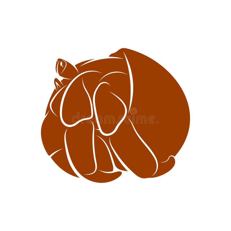 Hermit Crab Design Vector Illustration, Creative Hermit Crab Logo ...