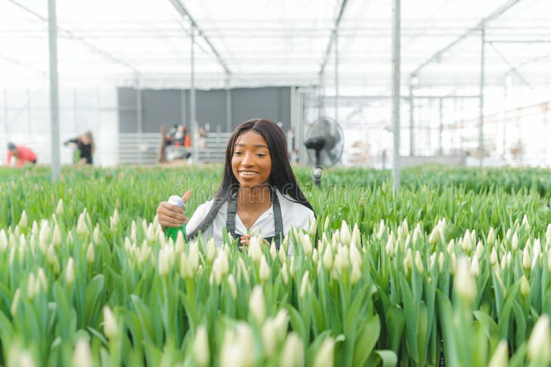 Hermosa Joven Sonriente Trabajadora Afroamericana Con Flores En ... Hermosa Joven Sonriente Trabajadora Afroamericana Con Flores En ...