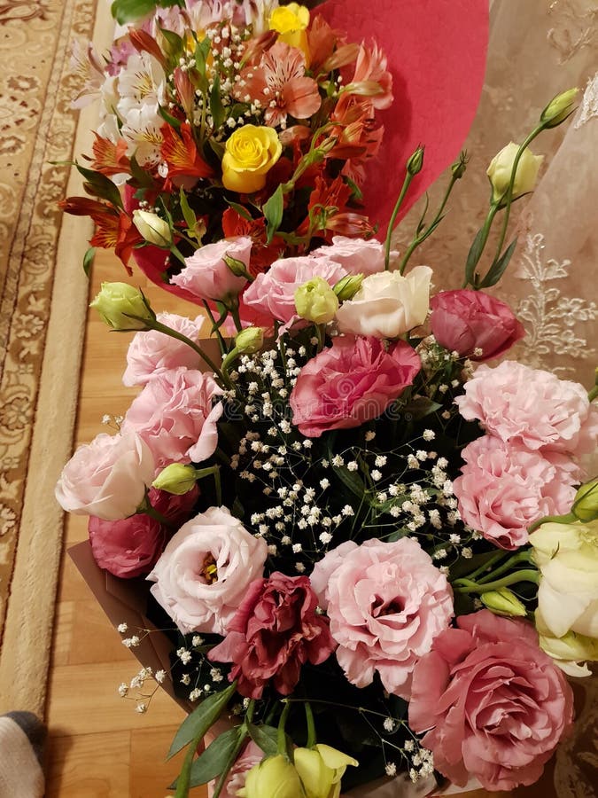 Hermosas Ramas De Rosas. Fascinante Imagen de archivo - Imagen de ...