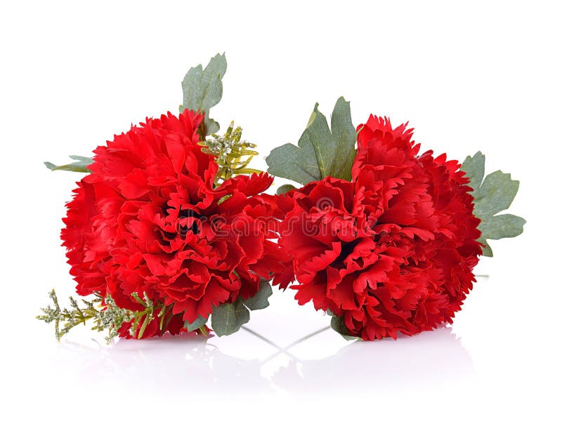 Hermoso Clavel Rojo Artificial Aislado Sobre Fondo Blanco Imagen de ...