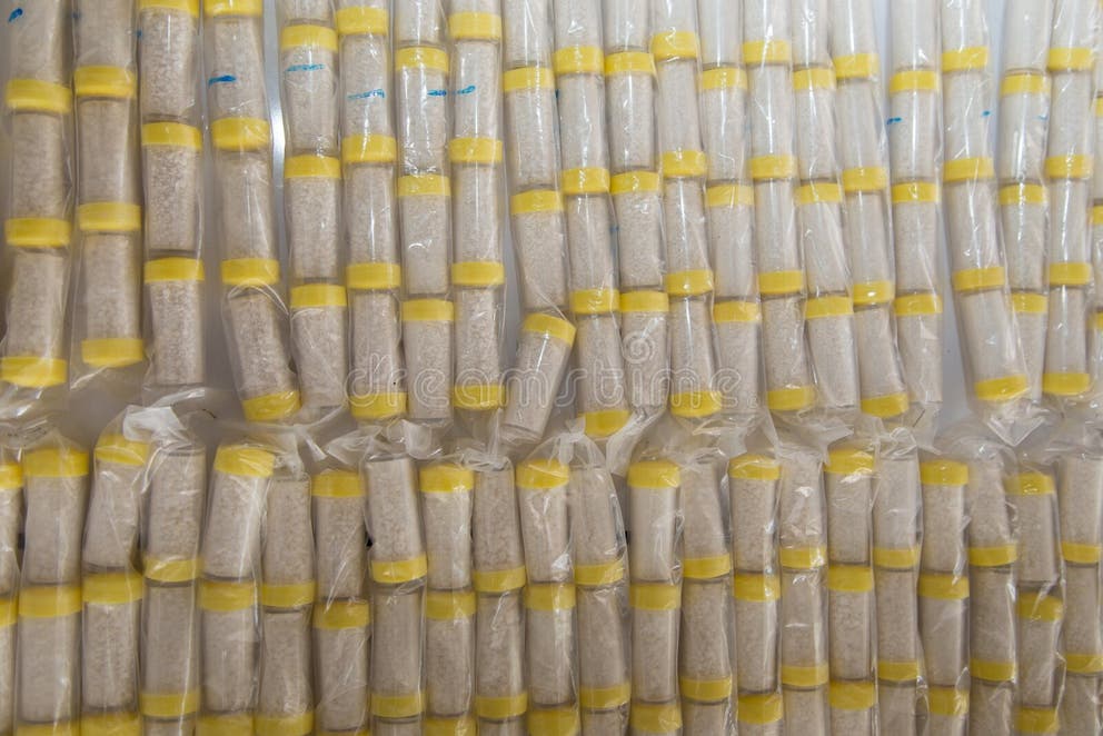 Heroin in package stock image. Image of abuse, cocaine - 37402211