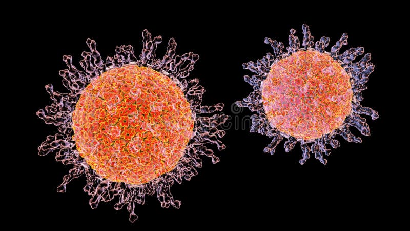 Simplex Viruses Stock Illustrations – 45 Simplex Viruses Stock ...