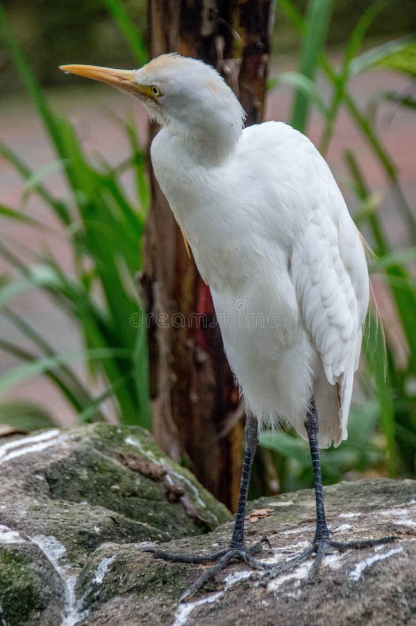Herrin Gap stock image. Image of colorful, ridge, north - 15568323