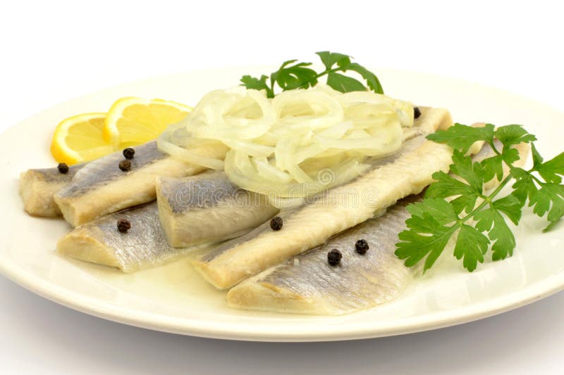 Herring fillets stock photo. Image of plate, seafood - 305163000