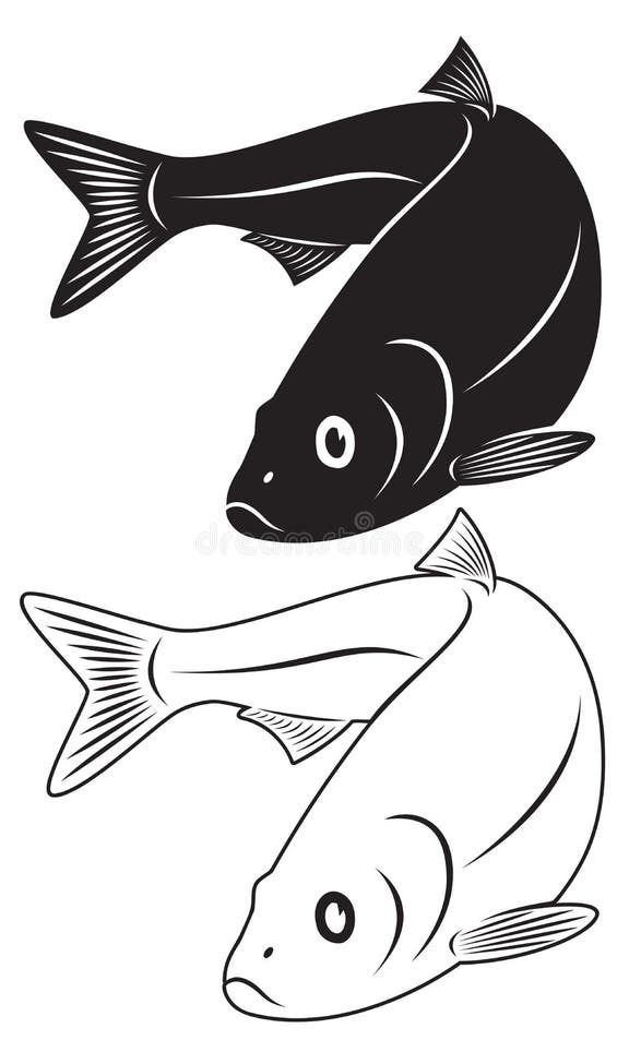 Herring Fish Stock Illustrations – 6,686 Herring Fish Stock ...