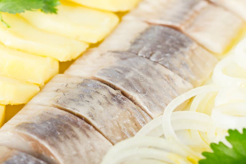 Herring Fish Fillets with Potato and Onion Stock Image - Image of ...
