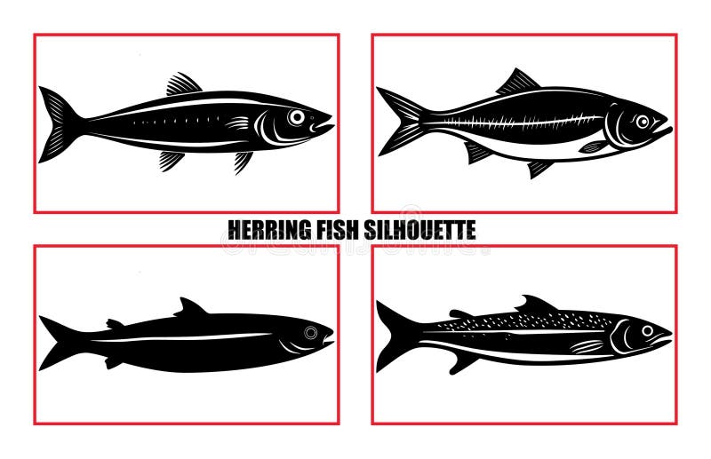 Herring Fish Silhouette Illustration Set, Silhouette of Herring Fish ...