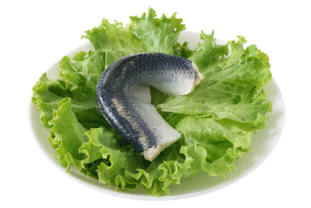 Herring on lettuce stock photo. Image of dinner, salted - 21565300