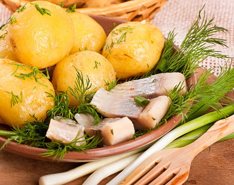 Herring Marinaded with Potato Stock Image - Image of fennel, herb: 32081171