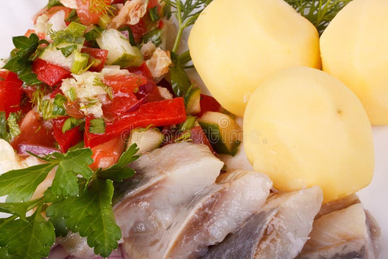 Raw herring with lettuce stock image. Image of eating - 1777041