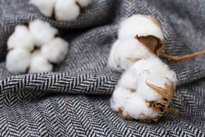 Herringbone, Also Called Broken Twill Weave, Weaving Pattern Stock ...