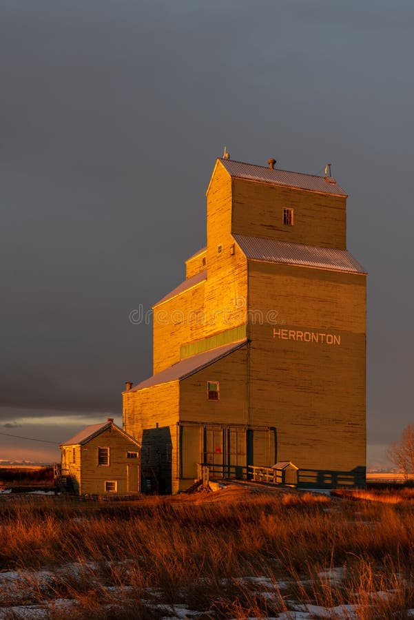 Herronton`s Old Alberta Wheat Pool Grain Elevator Editorial Photography ...