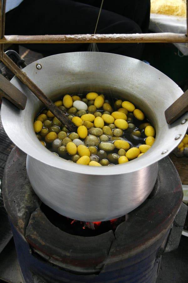 Herstellung der Seide stockfoto. Bild von gebildet, seidig - 1126188