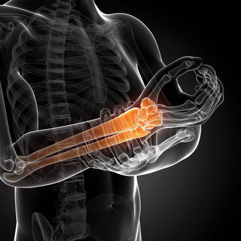 Arterien-, Ader- Und Lymphknoten am Hals Stock Abbildung - Illustration ...