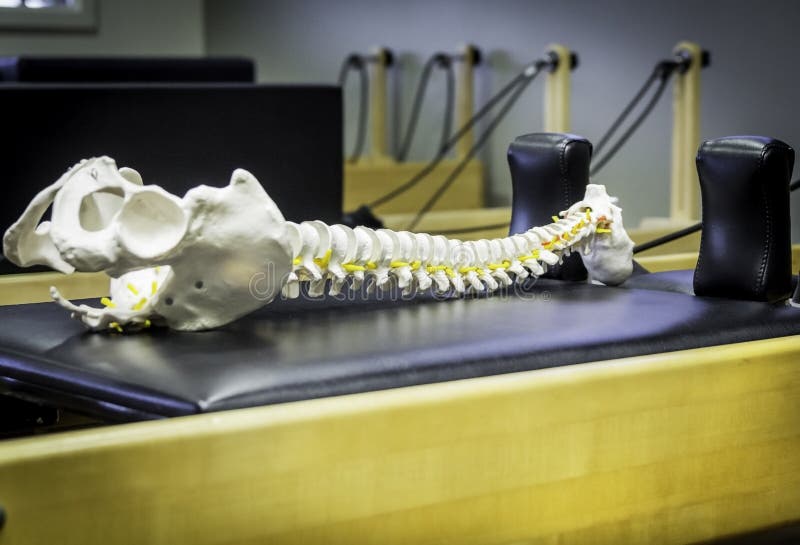 Hervormer Pilates En Ruggegraat Stock Afbeelding - Image of jozef ...