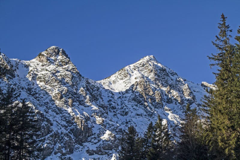 On summit Herzogstand stock photo. Image of upper, rest - 31385640