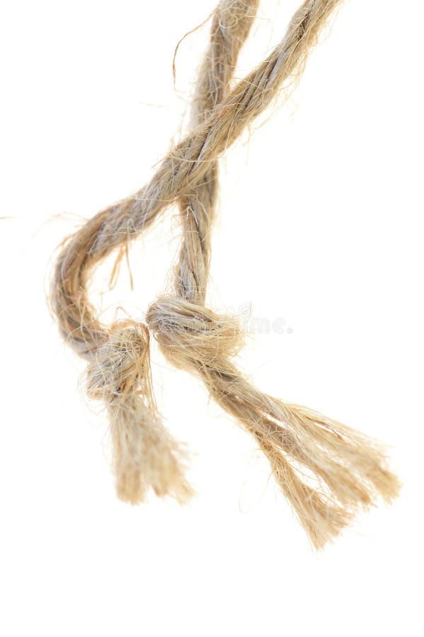 Hessian String stock image. Image of macro, eating, green - 45849701