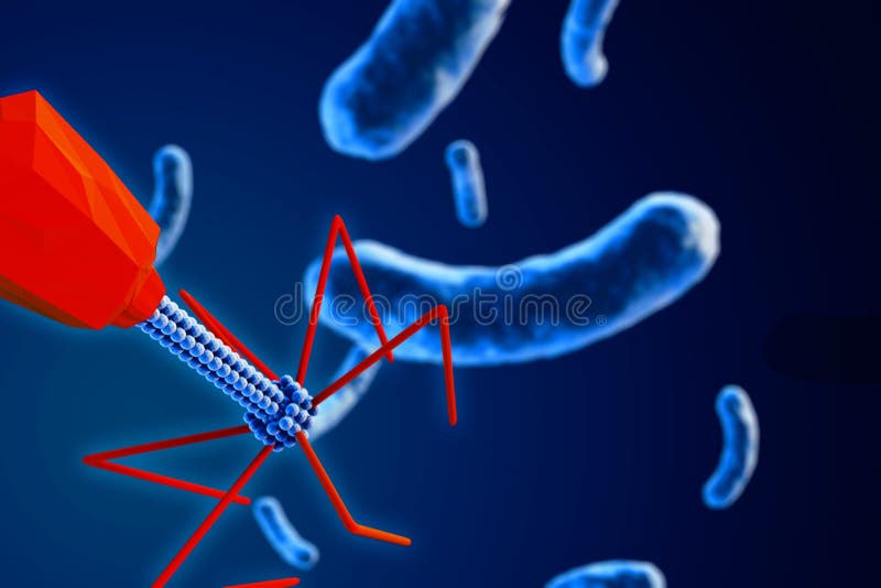Het Aanvallen Van De Bacteriofaag Bacteriën Stock Illustratie ...