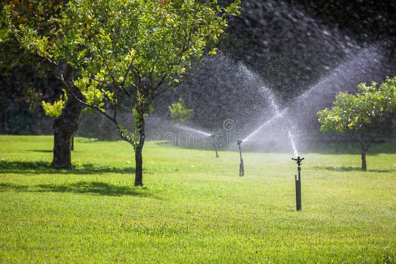 Het Automatische Sproeier Water Geven in De Tuin Stock Foto - Image of ...