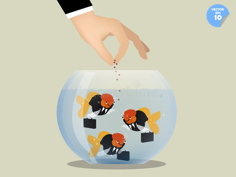 De Goudvis In Kom Let Op Dode Goudvis In Een Andere Kom Stock ...