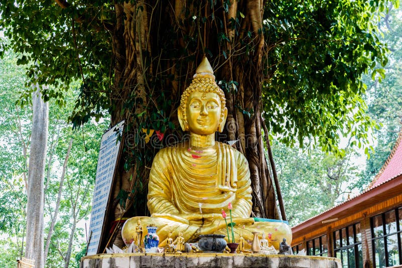 Het Beeld Van Boedha Onder Bodhi-boom Stock Afbeelding - Image of oost ...