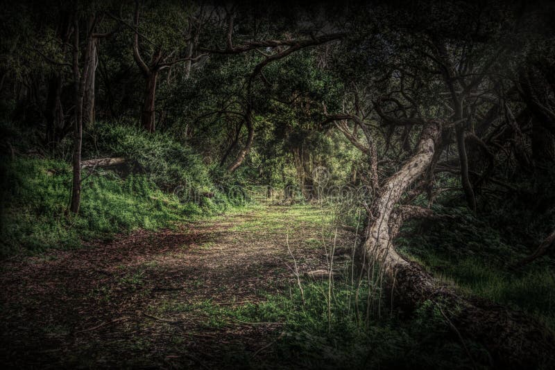 Het Bos Donkere Sombere En Enge Schilderen Stock Foto - Image of kijkt ...